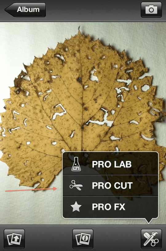 ProCamera for iPhone - Tutorial - Getting To Grips With It