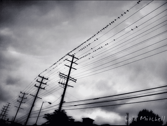 A Day In The Life Of Lola Mitchell - The Most Incredible Composite ...