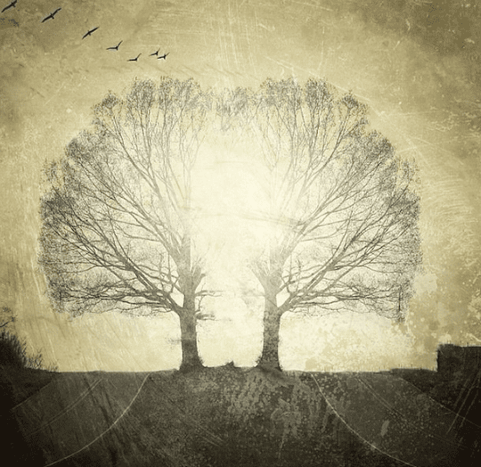 A Day in the Life of Melissa Vincent - An Incredibly Creative And ...