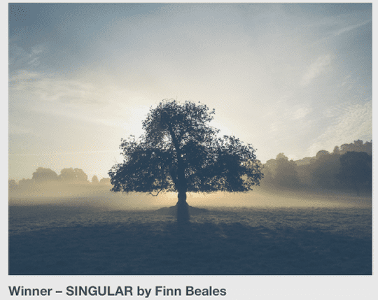 Mobile Photography Awards 2013 - Contest Winners & Runners Up