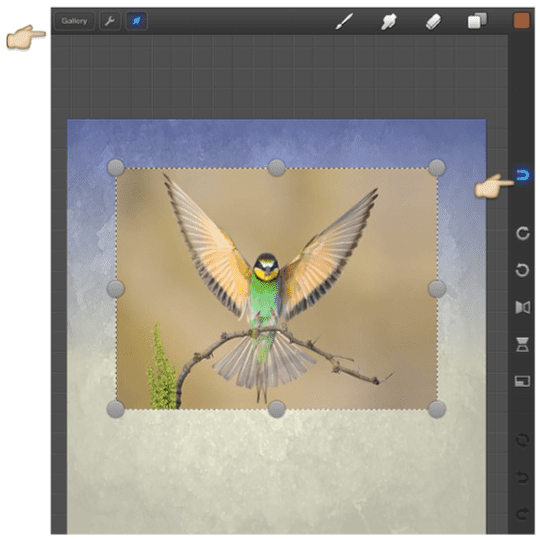 ProCreate Tutorial By MaryJane Sarvis - 'My Collage With Painting Method'