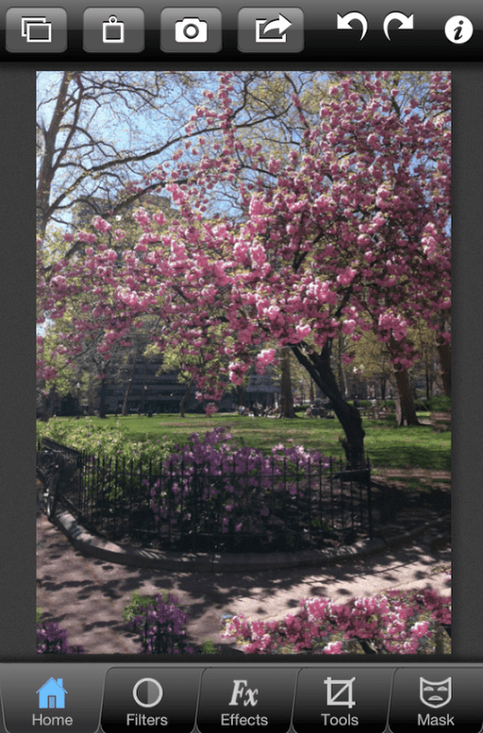 iPhone Photography Tutorial – ‘How To Create A Stunning Cherry Blossom ...
