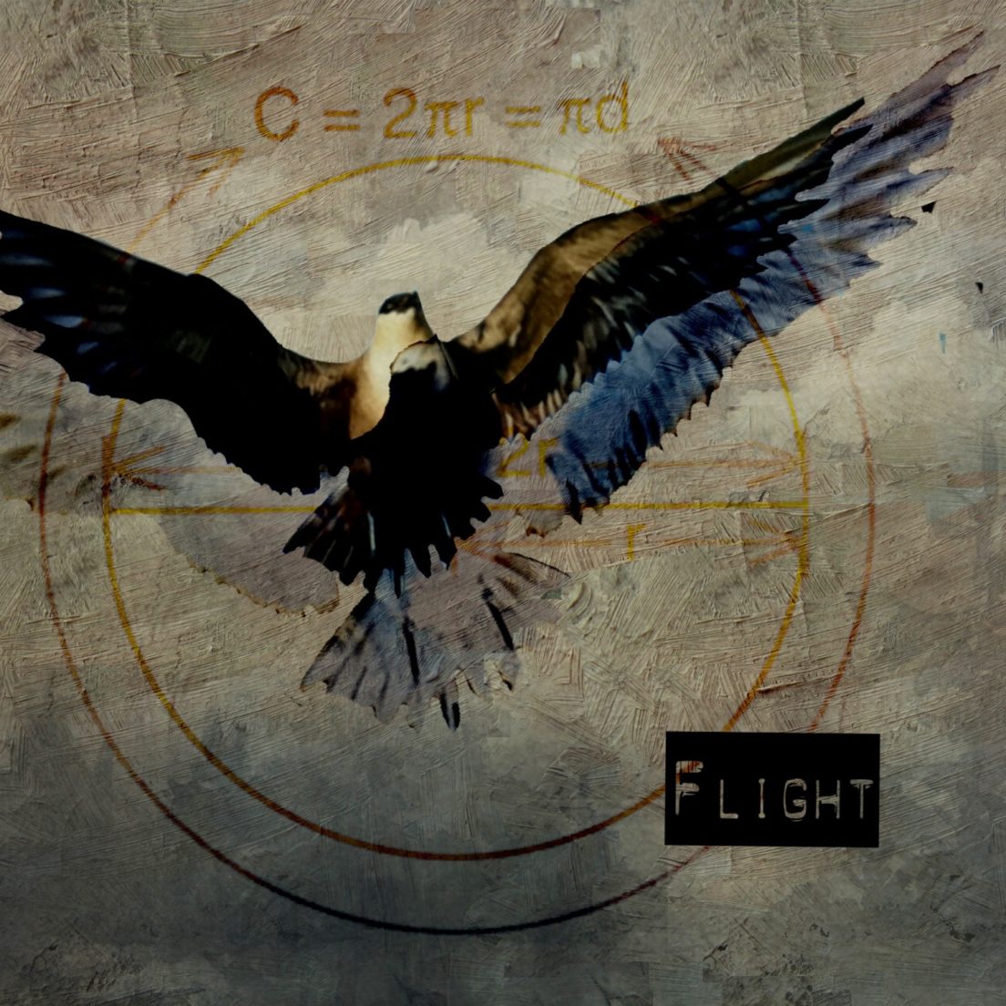 ‘Brought To Light’ – Mobile Photography / Art Interview with Catherine ...