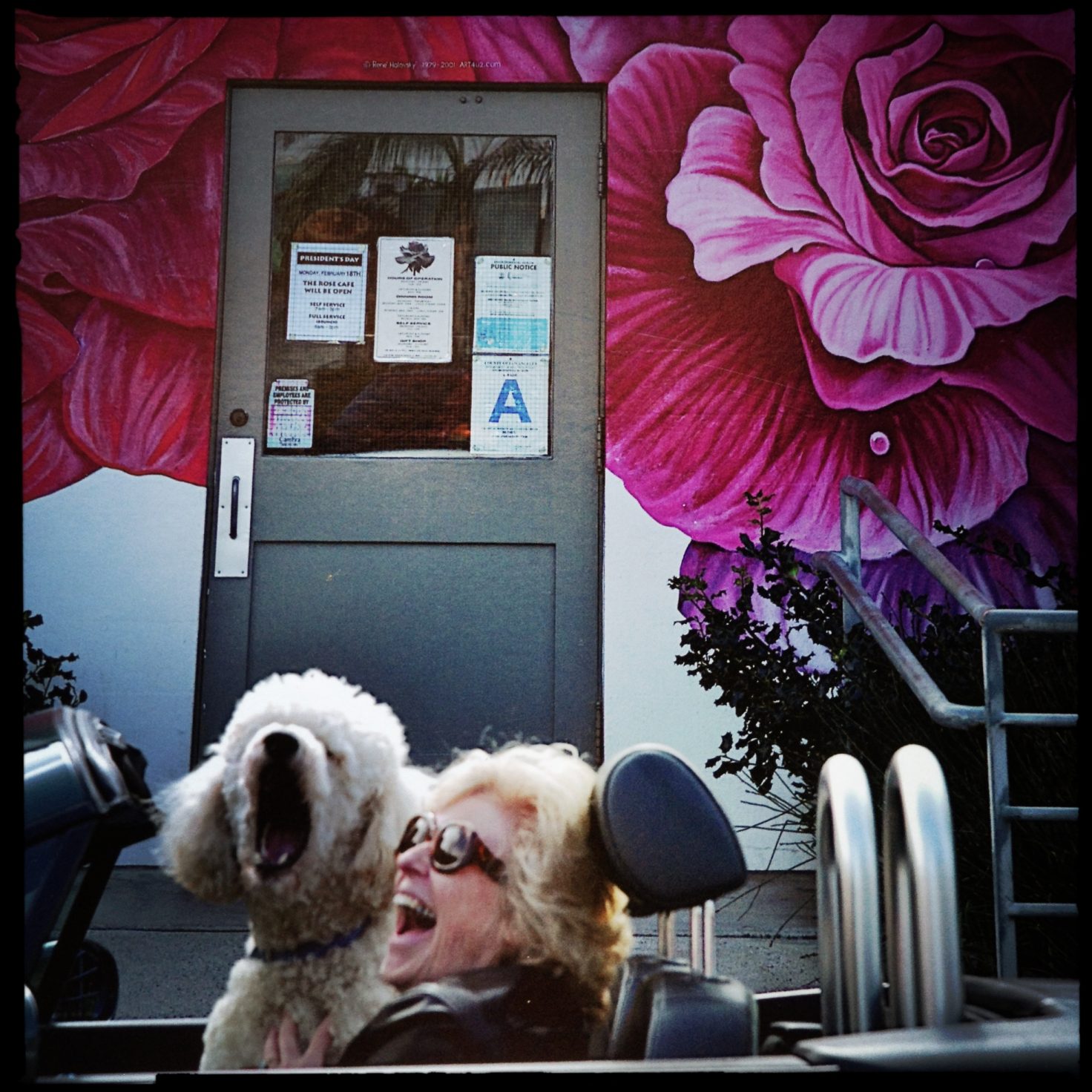 Visualising Mobile Photography Interview with Susan Rennie