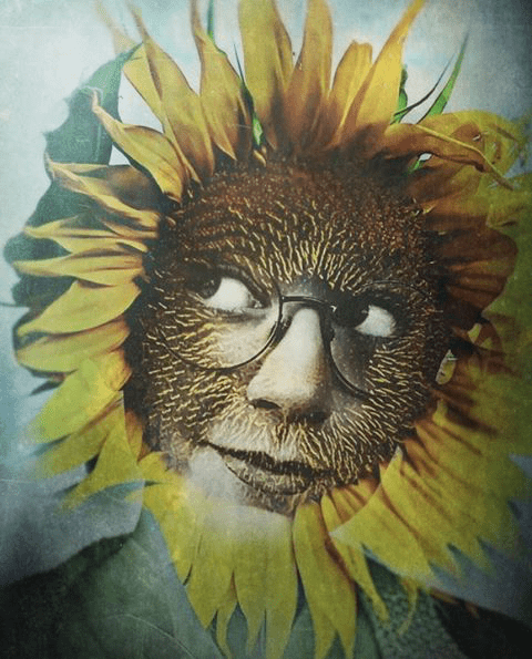 Mobile Photography & Art – ‘Intimate Interview’ with James Ellis from ...