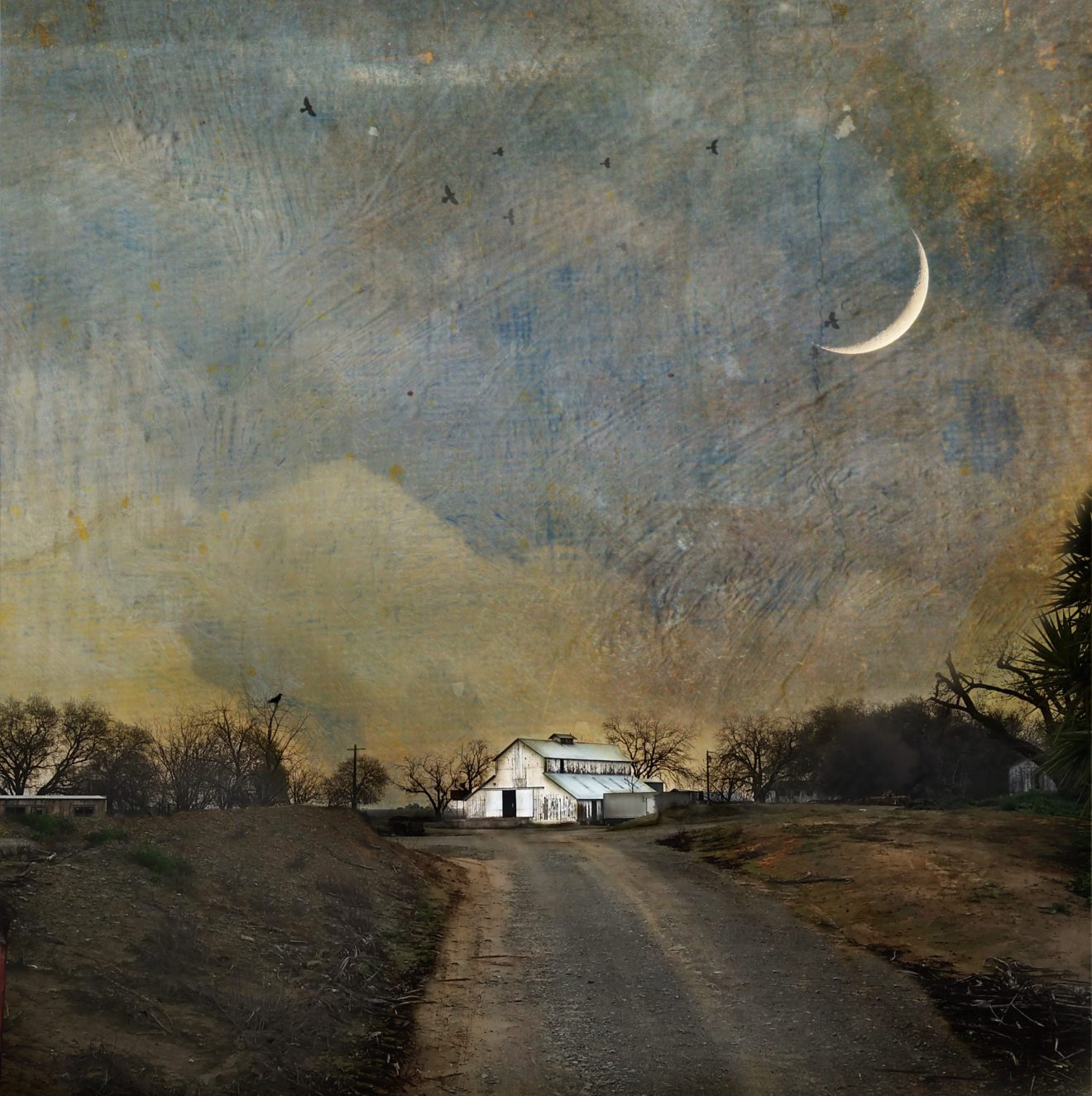 Mobile Photography & Art – ‘Intimate Interview’ with Julie Denning from ...