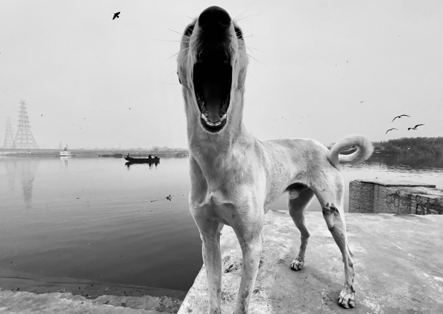 Mobile Photography Intimate Interview with Dimpy Bhalotia from Bombay ...