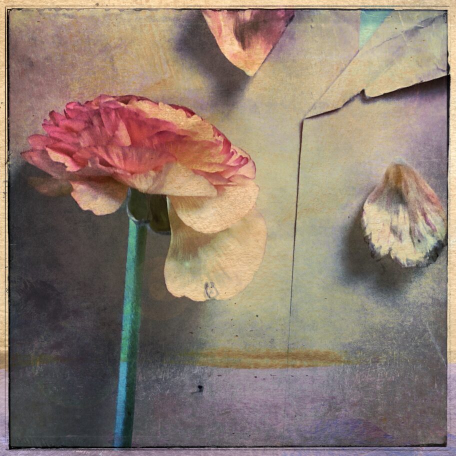 Mobile Photography and Art 'Hope in Adversity' Interview with Catherine ...