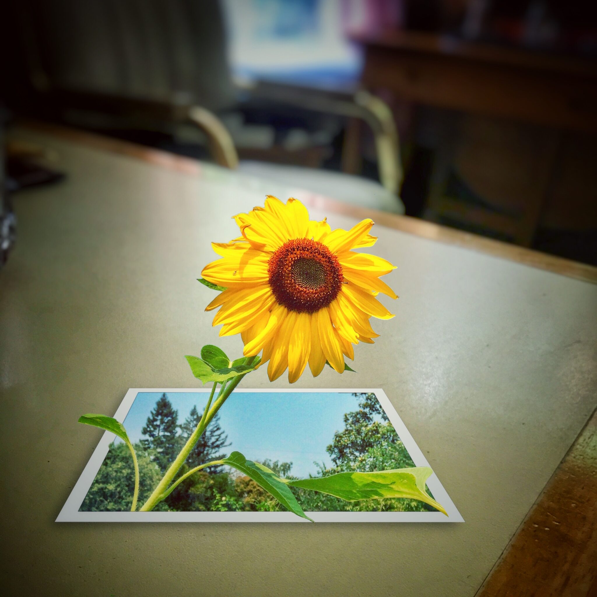 Mobile Photography Tutorial - Frame Popping with Superimpose X - Part 2 ...