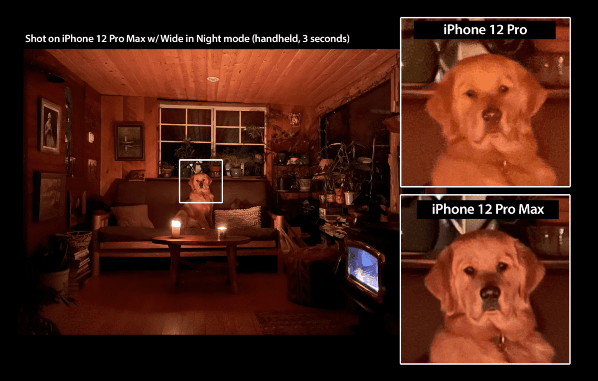 iPhone 12 Pro Max Camera Review