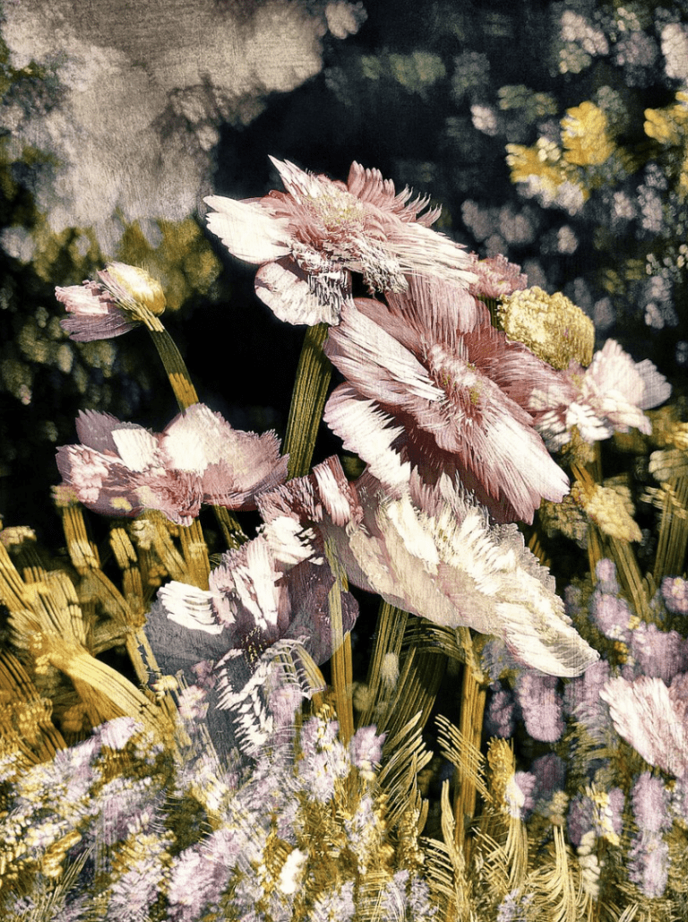 Brand New Podcast with Award Winning Digital Artist Jane Schultz from ...