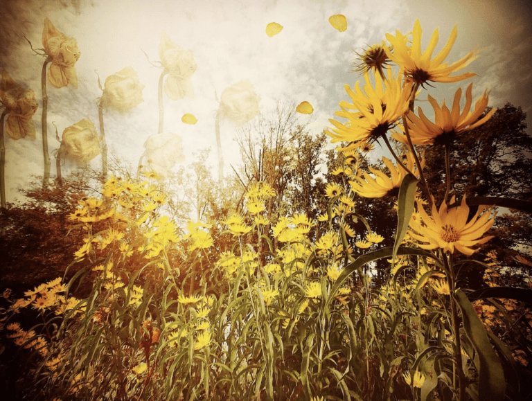 Brand New Podcast with Award Winning Digital Artist Jane Schultz from ...