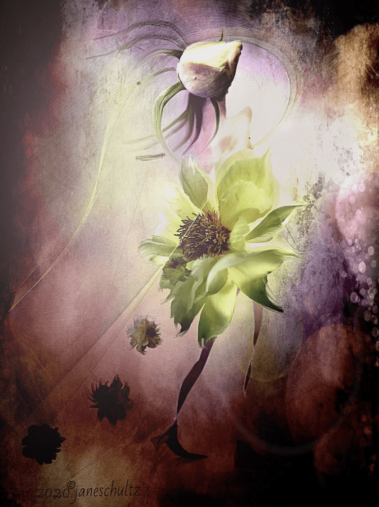 Brand New Podcast with Award Winning Digital Artist Jane Schultz from ...