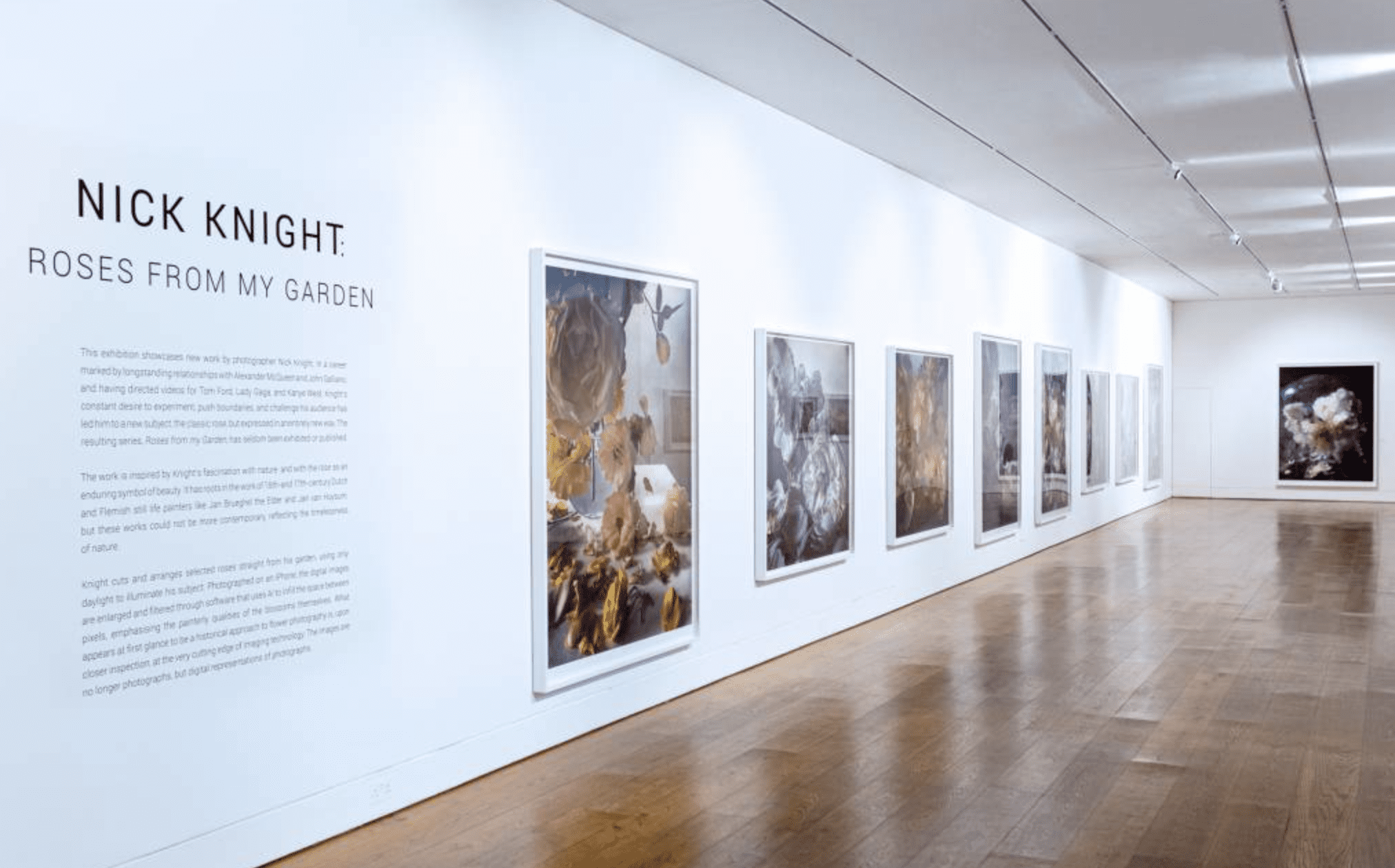 Nick Knight - 'Roses From My Garden' iPhone Photography Exhibition