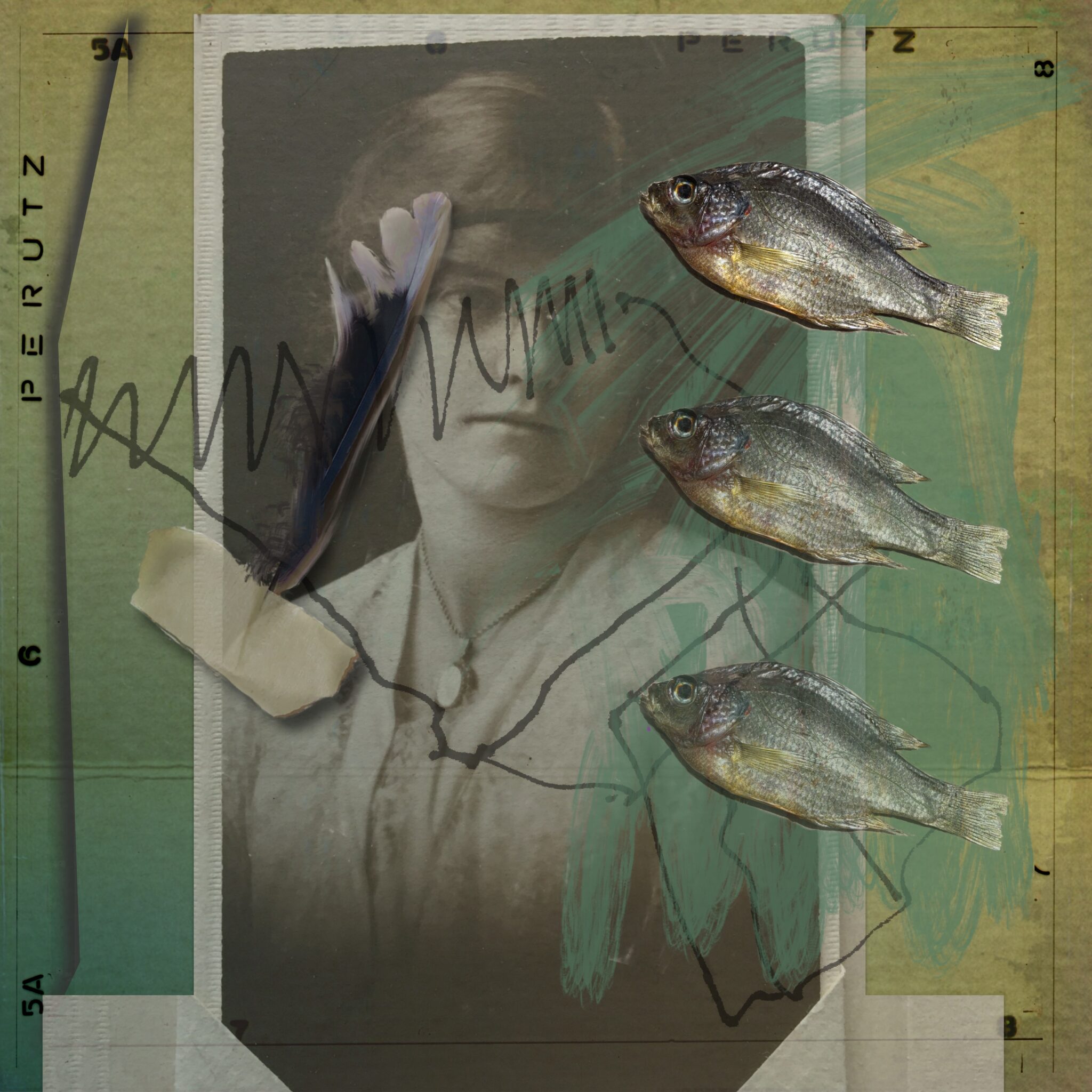 Mobile Artists on Their Artistry – Interview with Catherine Caddigan ...