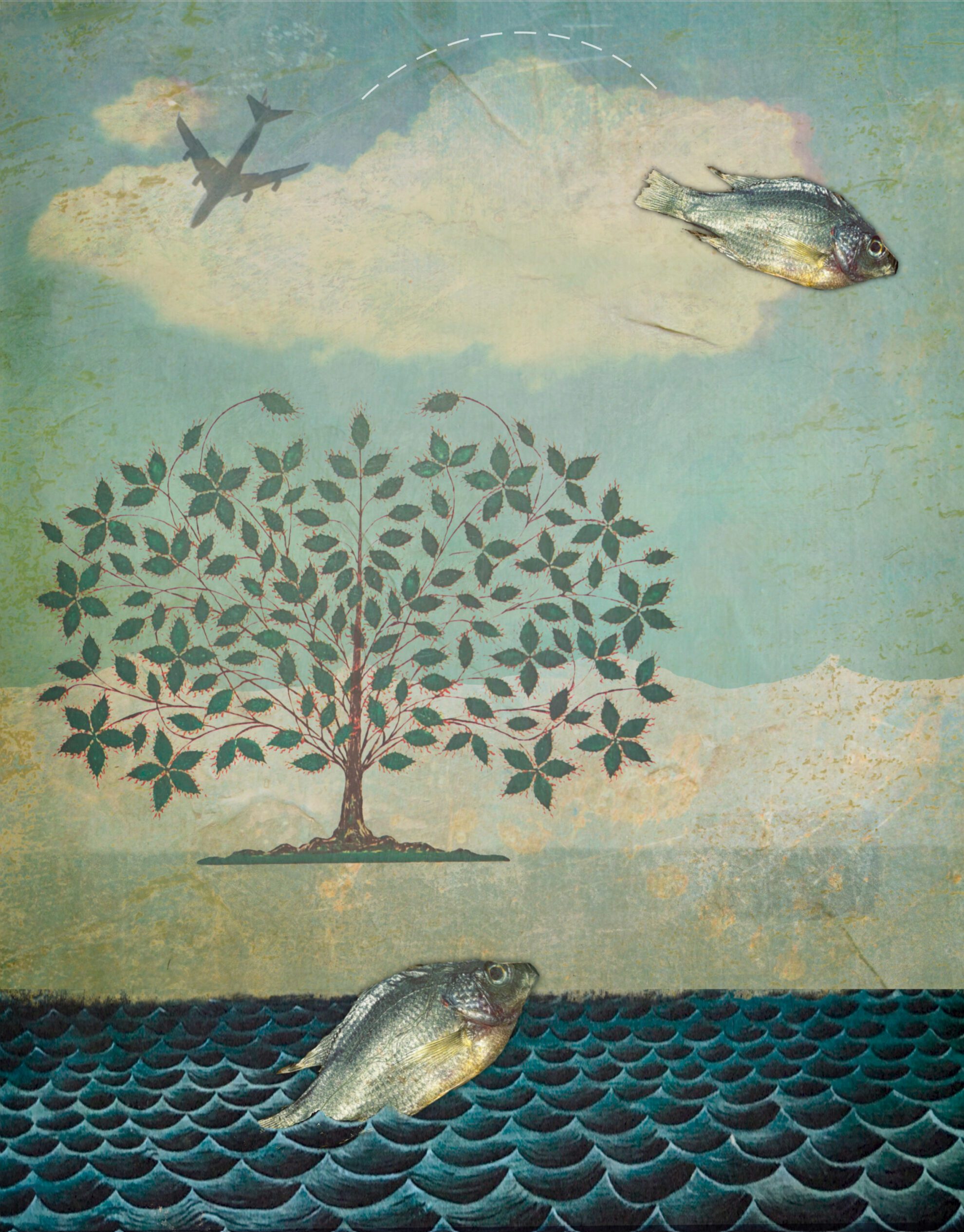 Mobile Artists on Their Artistry – Interview with Catherine Caddigan ...