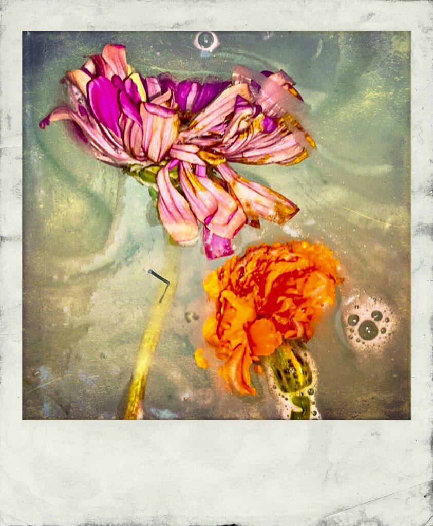 Mobile Artists on Their Artistry – Interview with Artist Jane Schultz ...