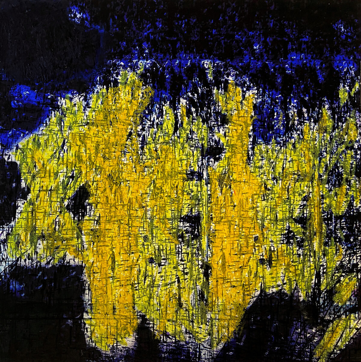 Unique Interview with Artistic Collaborators - Dutch Photographer ...