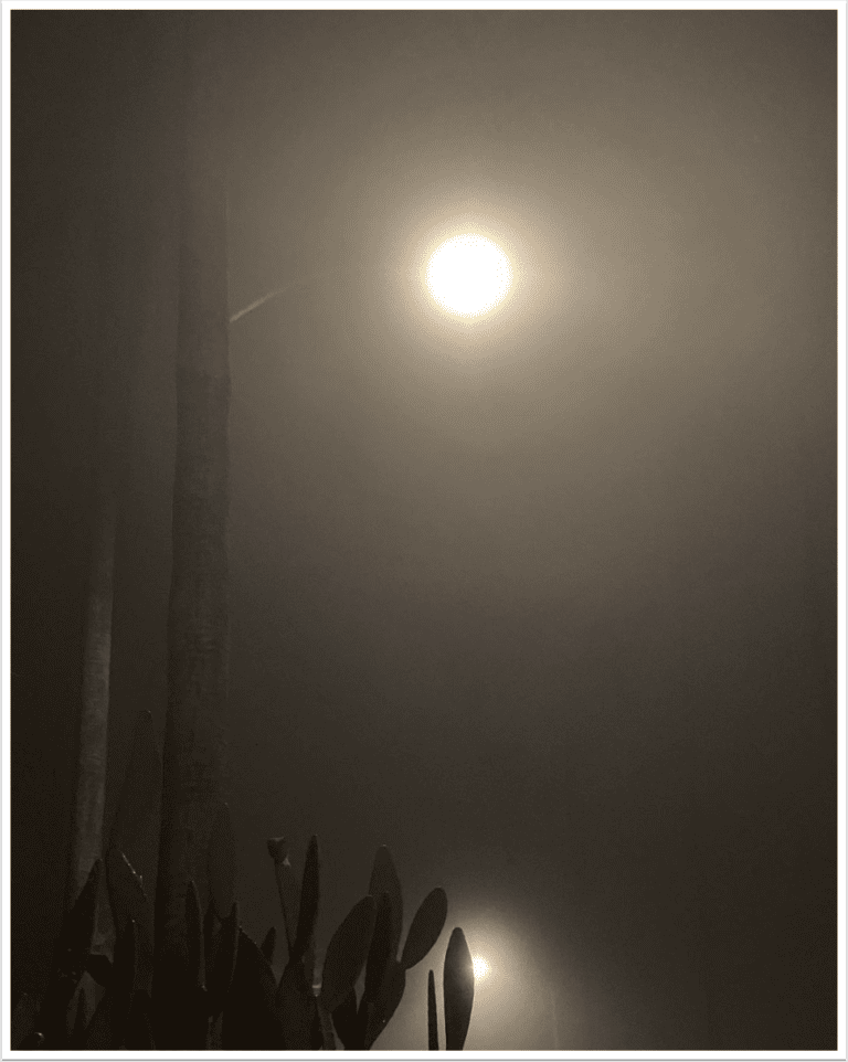 Mobile Photography & Art – Saturday Poetry - Remember by Joy Harjo