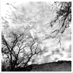 Mobile Artists on Their Artistry – Interview with James Bacchi from San ...