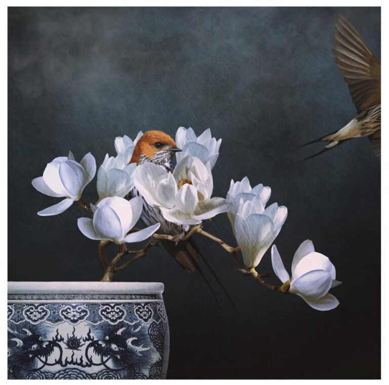 The Greatest Mobile Art Pic of the Day (1,907)