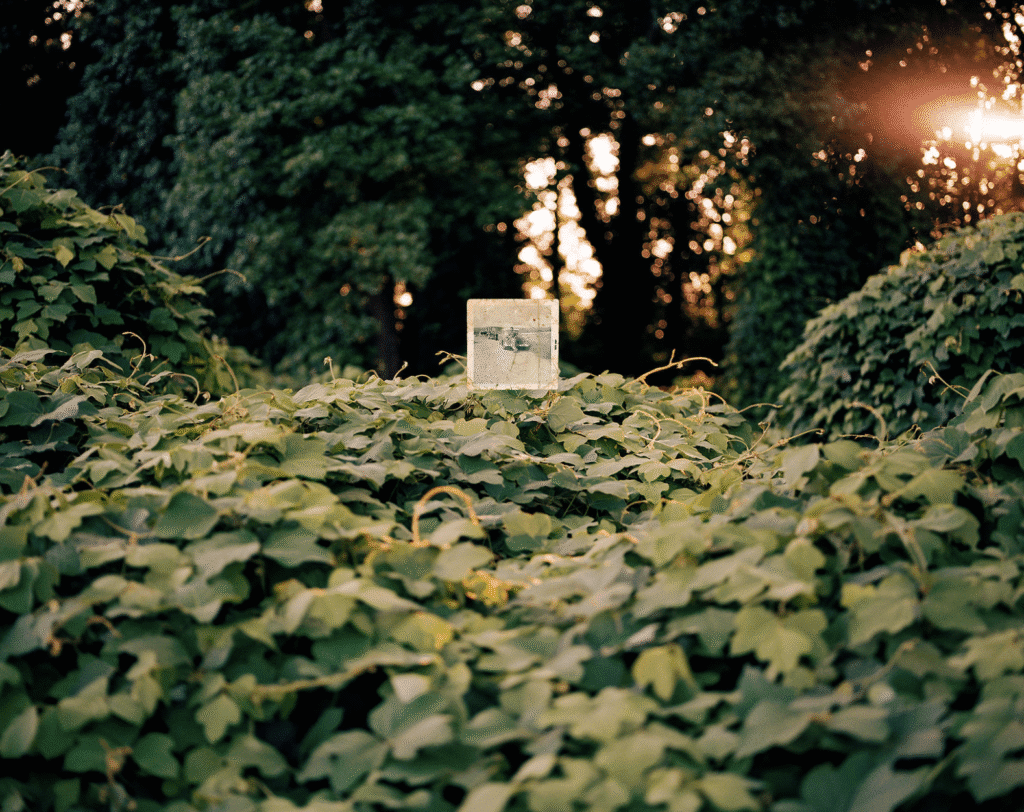 Shaping the Land - Filter Photo July 11, 2025 | August 23, 2025