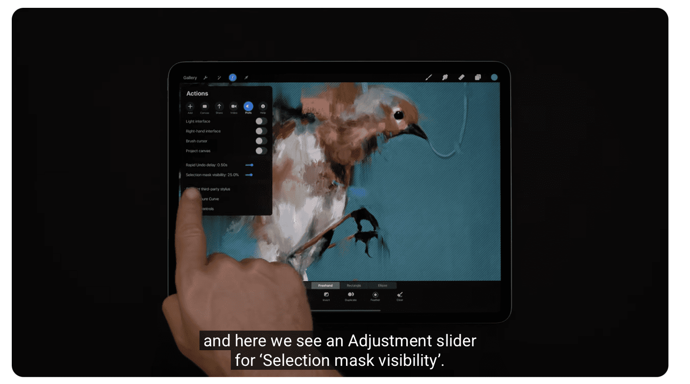 How to adjust the Selection Mask visibility in Procreate