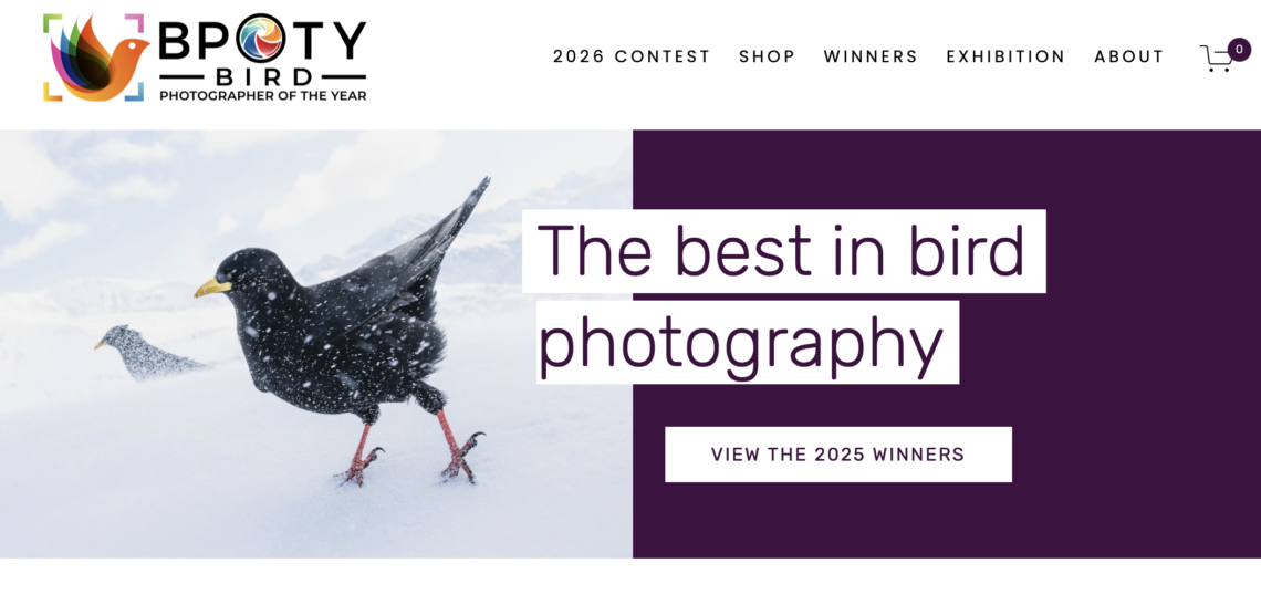 Best Photography Competitions and Awards to Enter in 2026